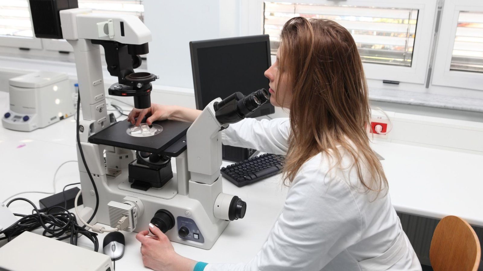 Antimicrobial Effectiveness Test | Neopharm Labs