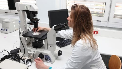 Antimicrobial Effectiveness Test | Neopharm Labs